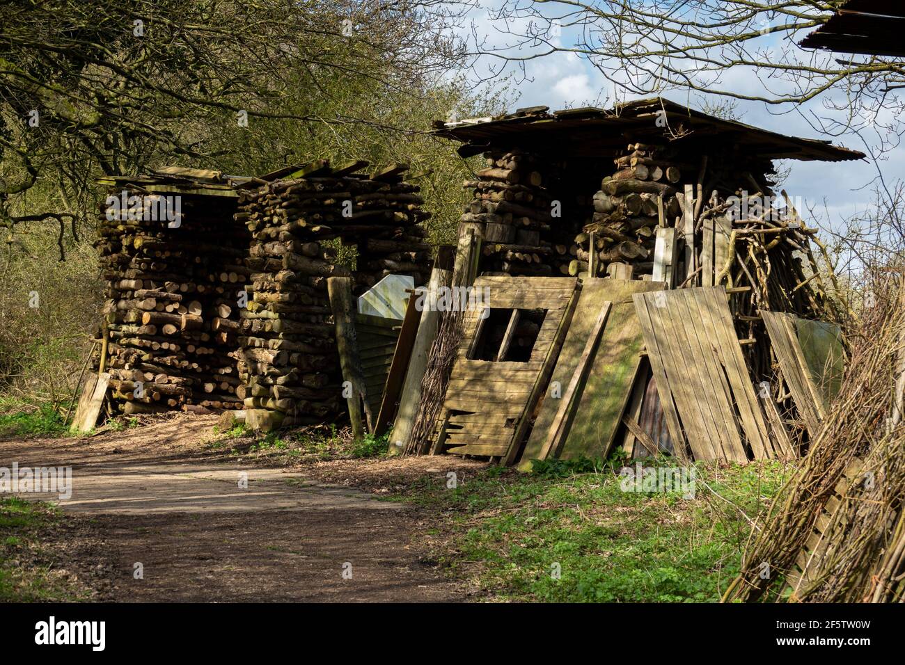 wood log pile in woodland Stock Photo - Alamy