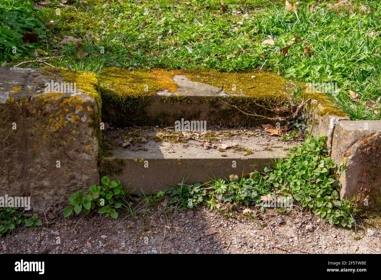 Stair step moss hi-res stock photography and images - Alamy