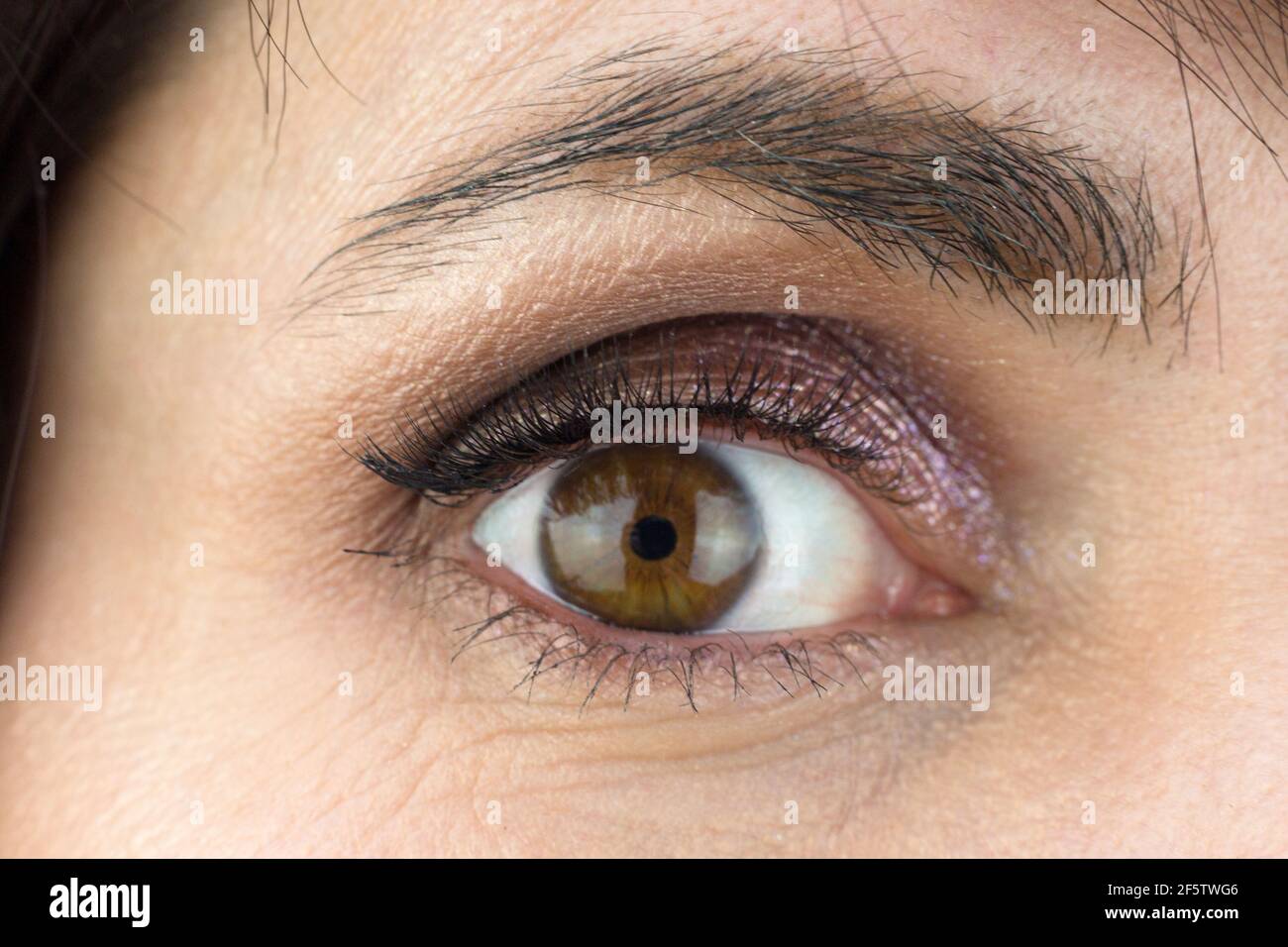 Lush eyelashes hi-res stock photography and images - Alamy