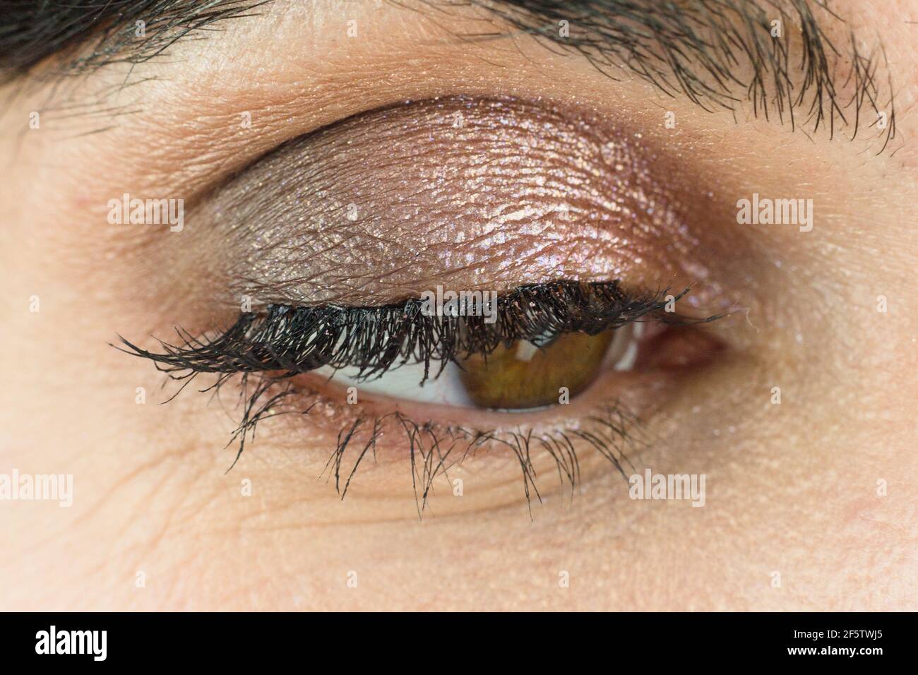 Lush eyelashes hi-res stock photography and images - Alamy