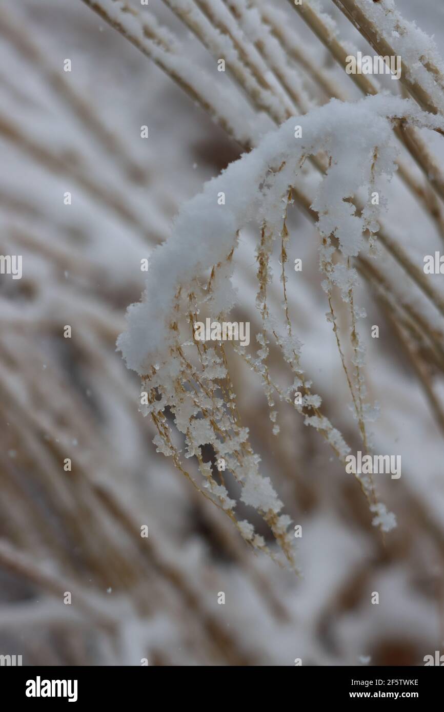 Seasons snow chinese hi-res stock photography and images - Alamy