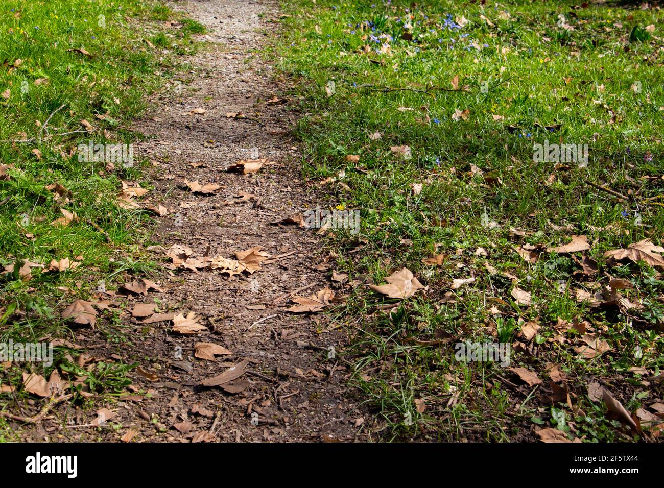 Narrow gravel path hi-res stock photography and images - Alamy
