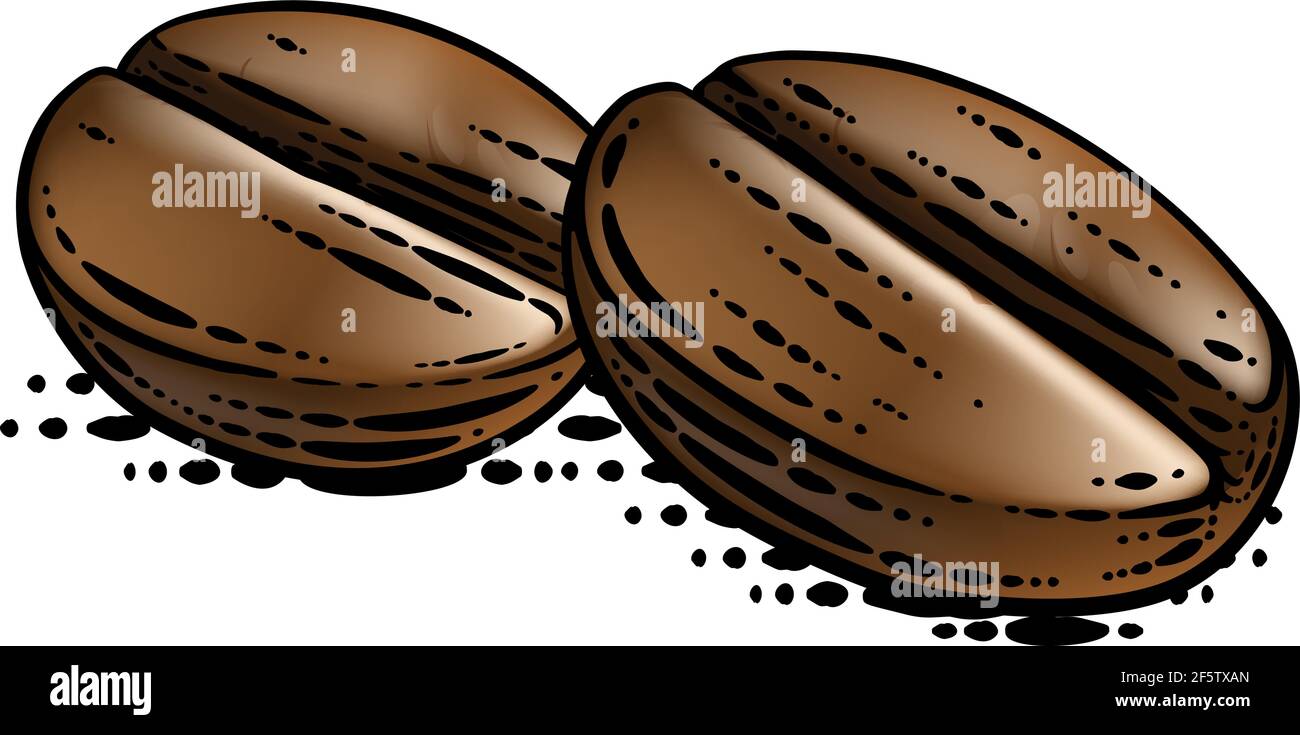Coffee Beans Illustration Vintage Woodcut Style Stock Vector Image ...