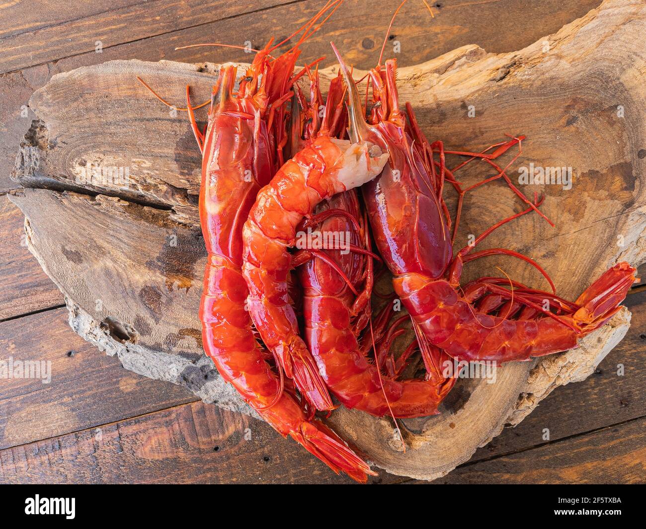 Giant shrimp close up hi-res stock photography and images - Alamy