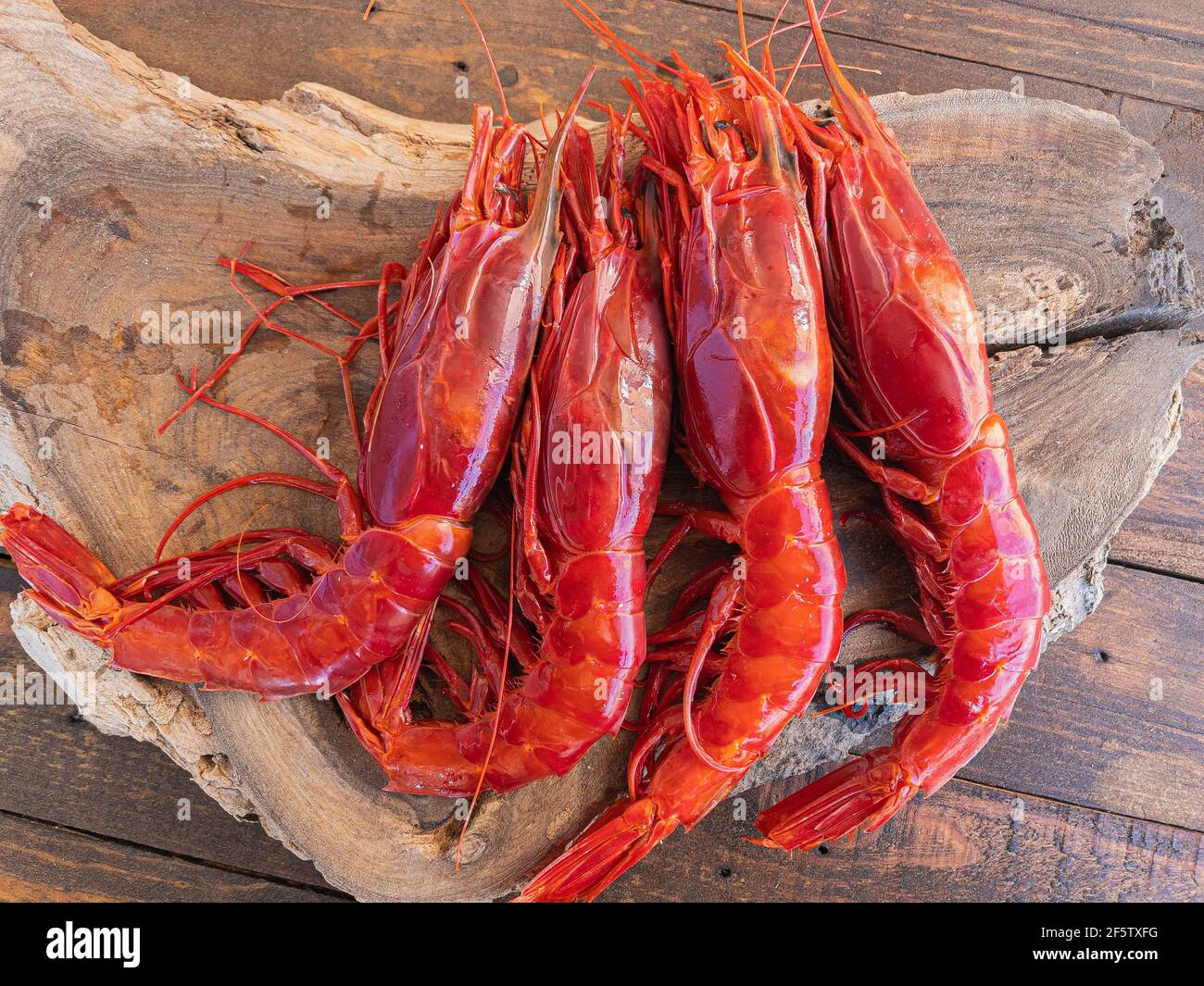 Carabinero prawn hi-res stock photography and images - Alamy