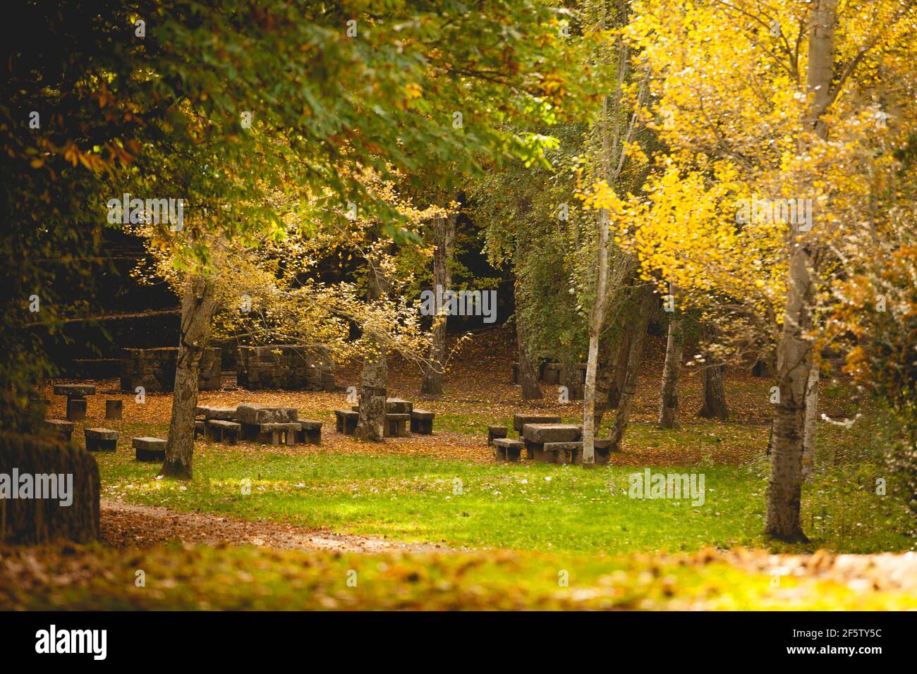 Special picnic area hi-res stock photography and images - Alamy