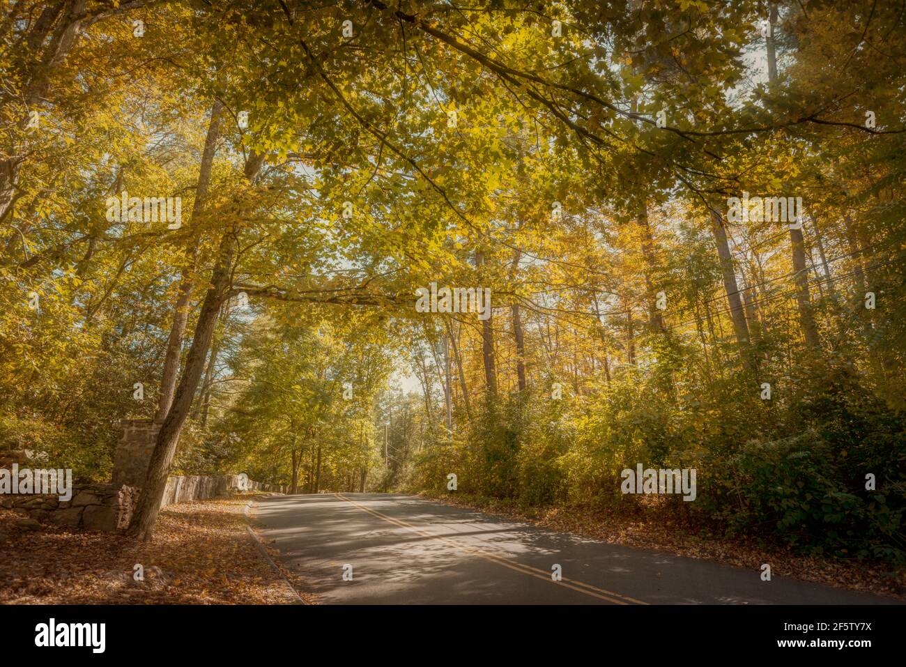 Leaf tunnel image hi-res stock photography and images - Alamy