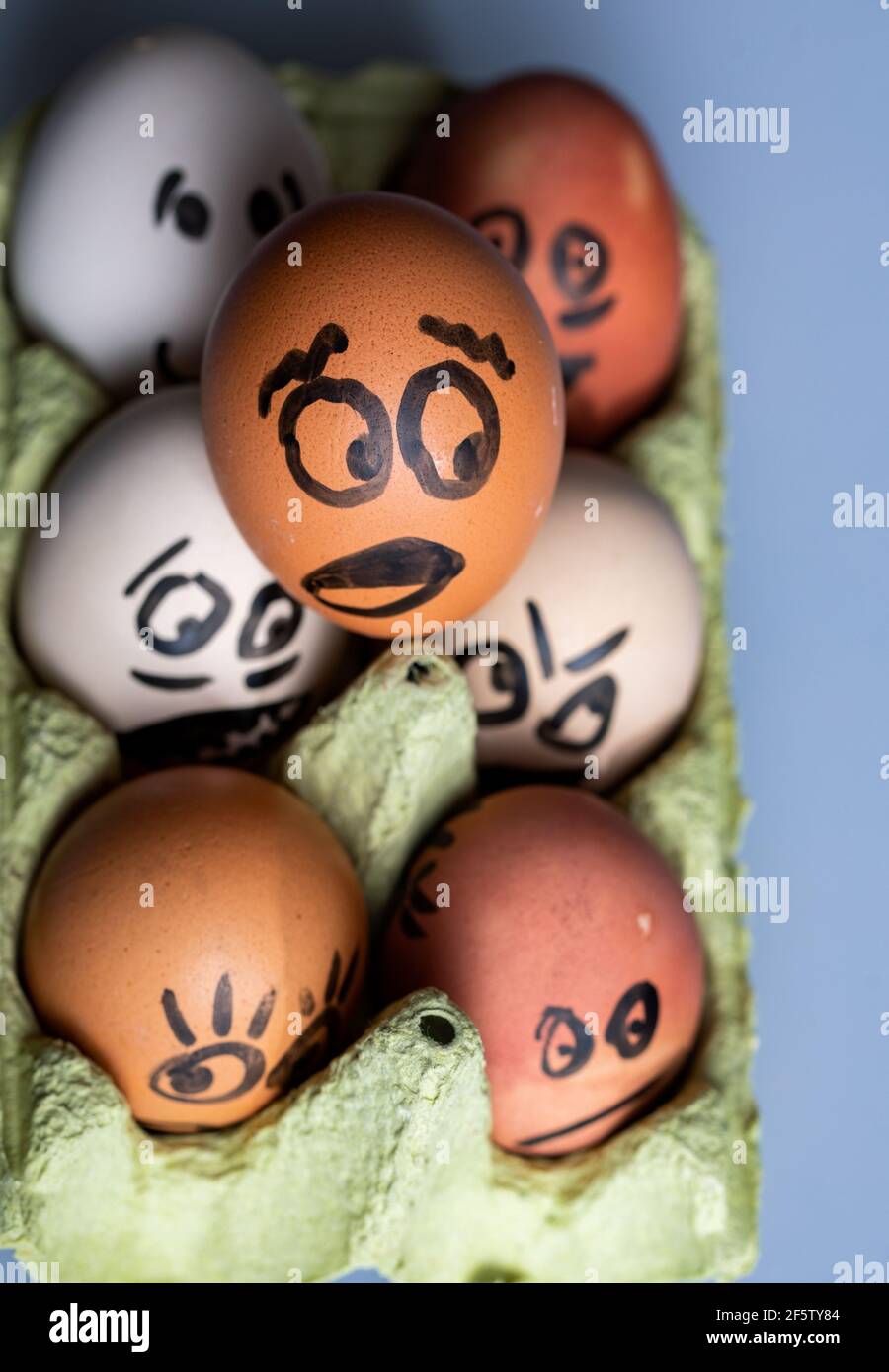 Crazy eggs terrified. Scared faces peering out of the egg tray. Funny ...