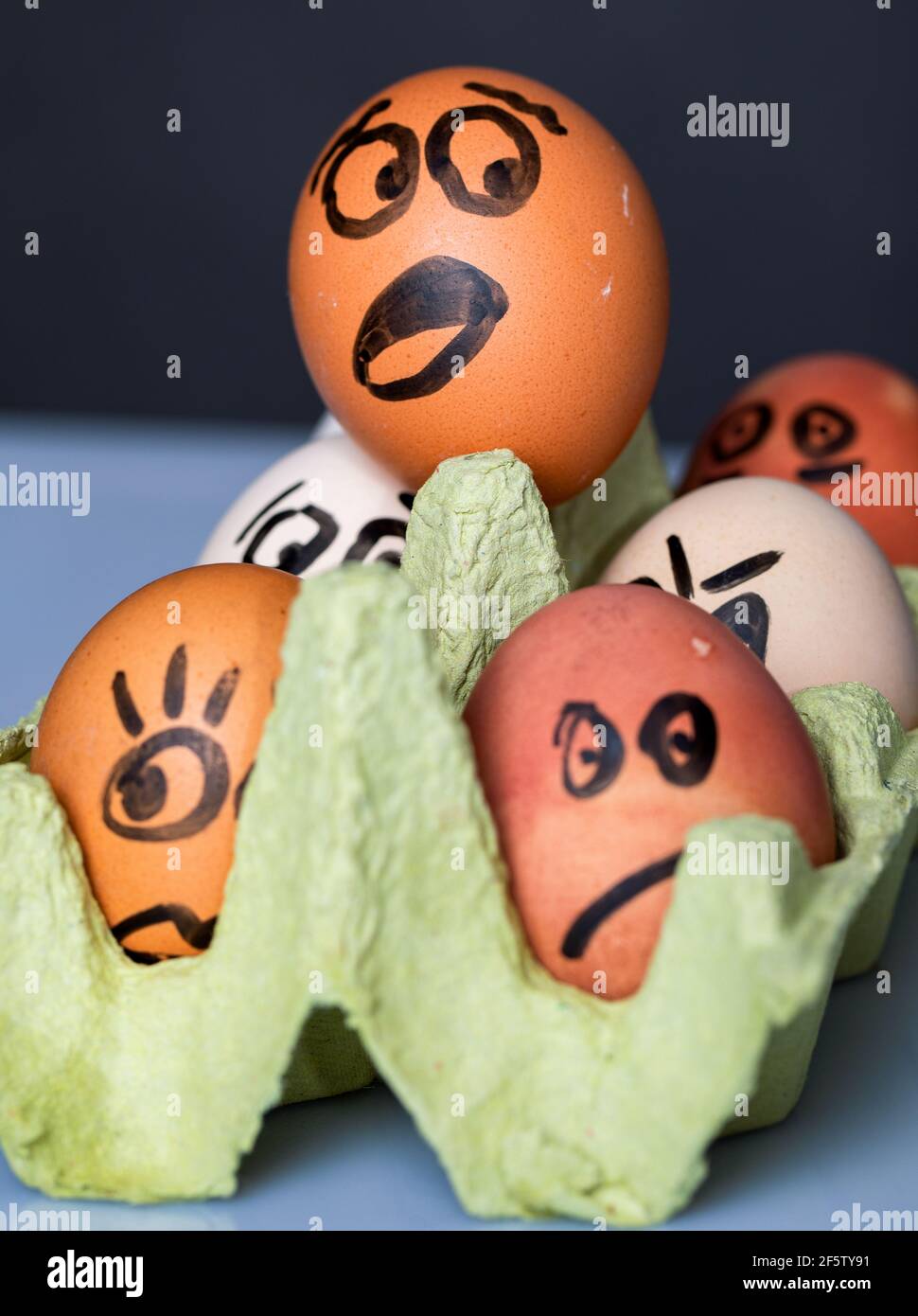 Crazy eggs terrified. Scared faces peering out of the egg tray. Funny ...