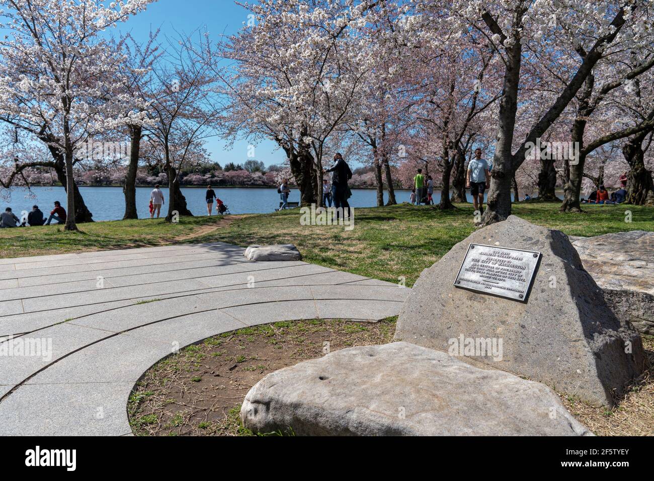 Cherry Trees Memorial Stone at the Tidal Basin on March 27, 2021 ...