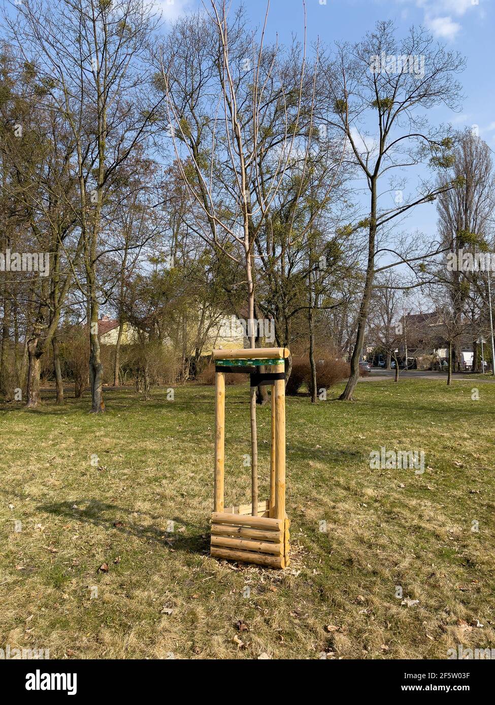 Planting trees in public city park at spring, concept of ecology and ...
