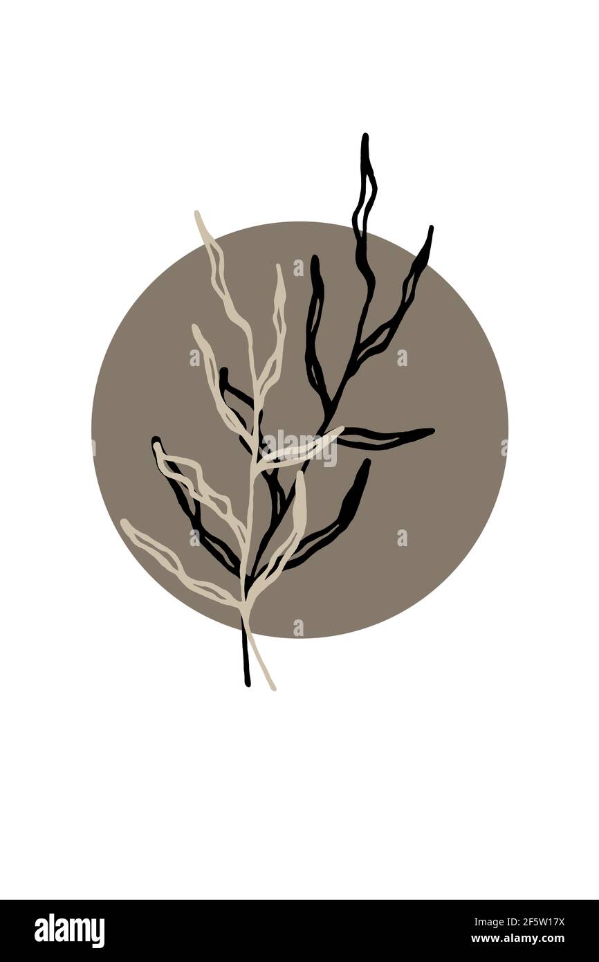 Minimalist Printable Botanical Illustration .Plants Illustration. Home ...