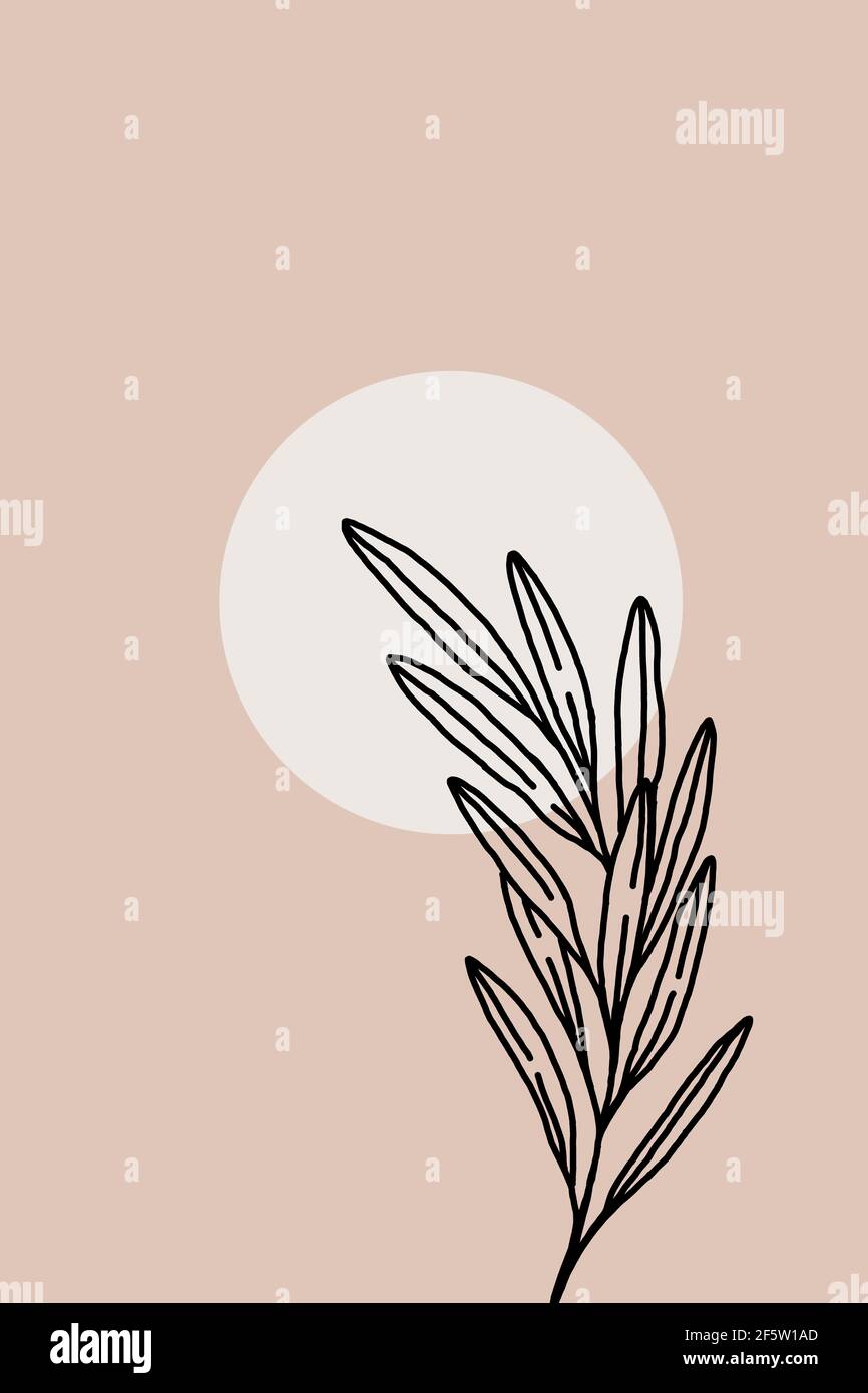 Minimalist Printable Botanical Illustration .Plants Illustration. Home ...