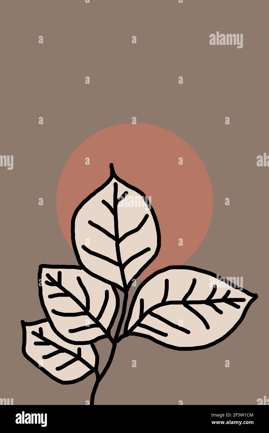 Minimalist Printable Botanical Illustration .Plants Illustration. Home ...