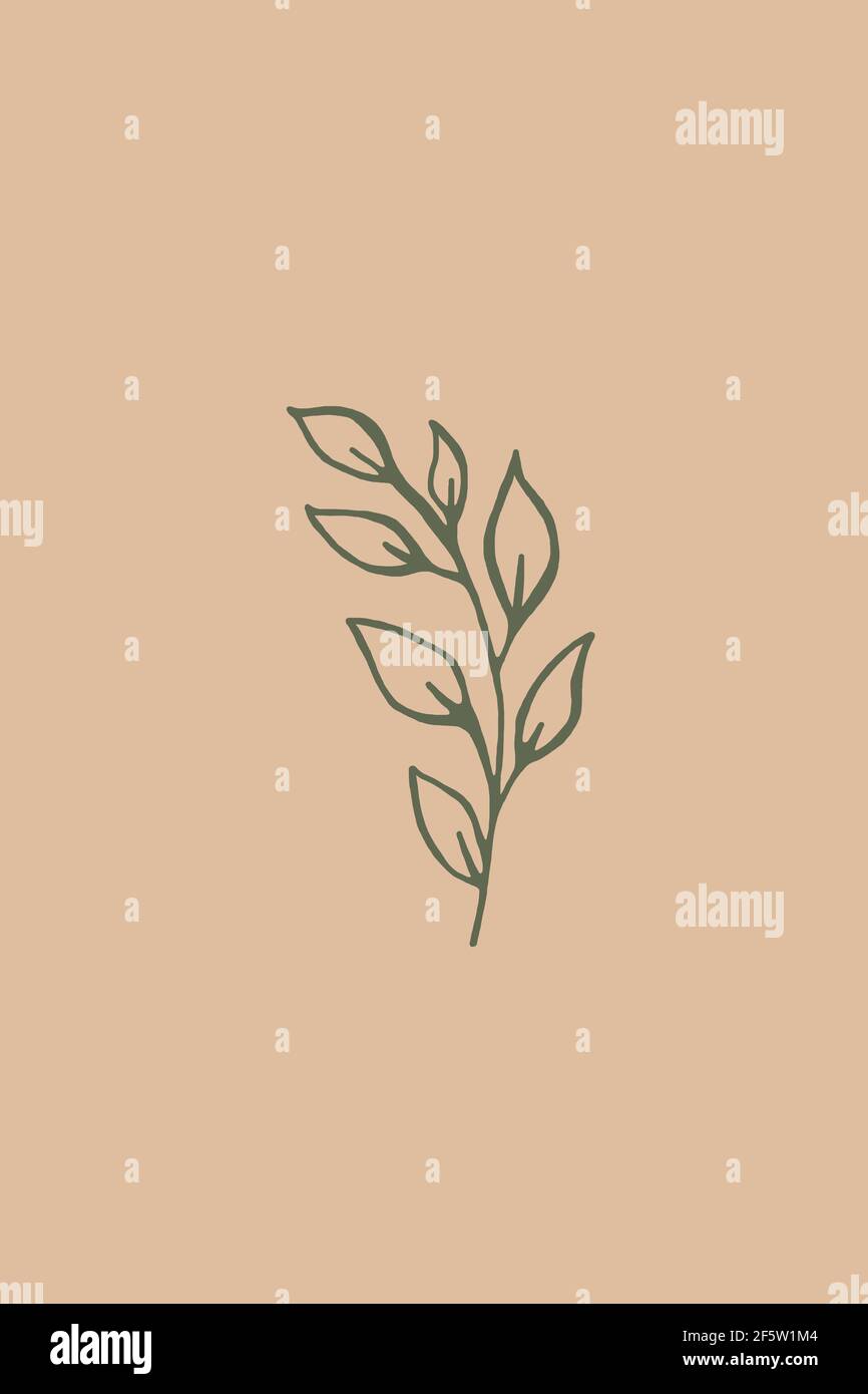 Minimalist Printable Botanical Illustration .Plants Illustration. Home ...