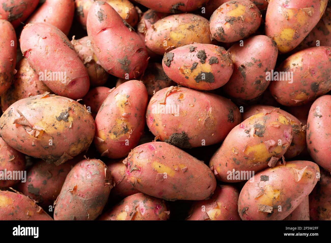 fresh potatoes as background, top view Stock Photo - Alamy