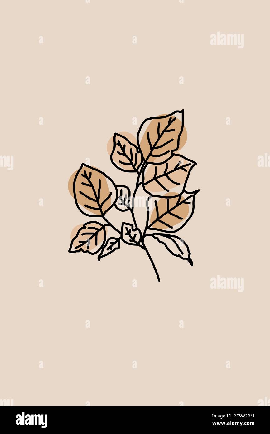 Minimalist Printable Botanical Illustration .Plants Illustration. Home ...