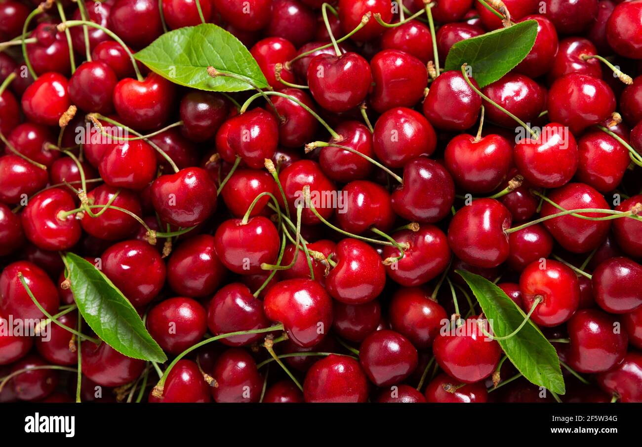 fresh ripe cherries as background, top view Stock Photo - Alamy