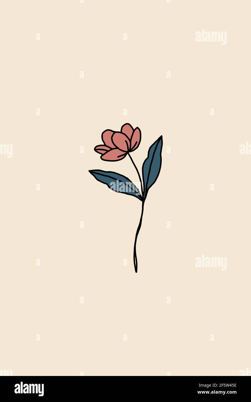 Minimalist Printable Botanical Illustration .Plants Illustration. Home ...