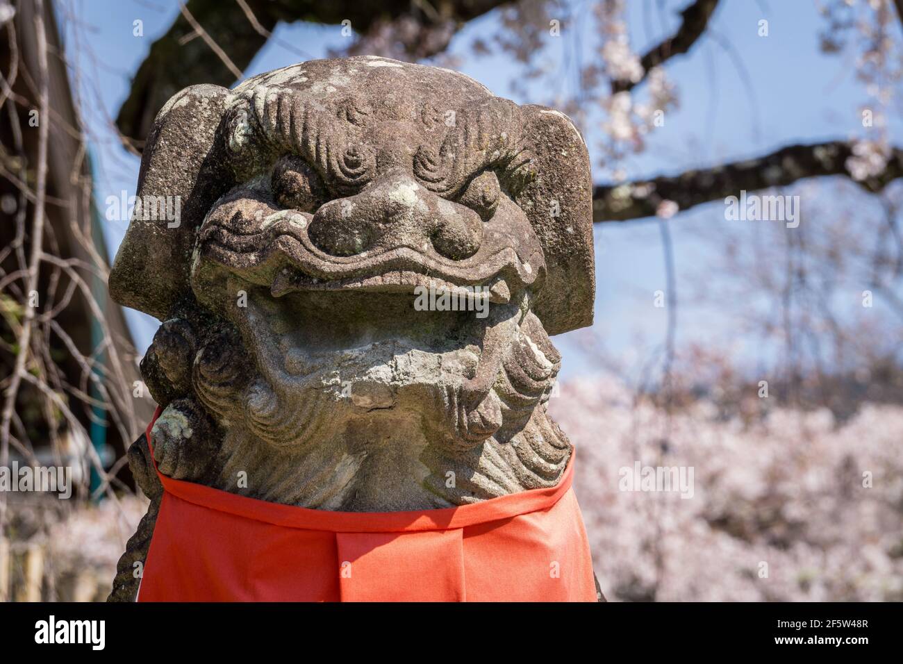 Komainu or lion dog statue at Himuro Jinja Shrine in Nara, Japan in ...