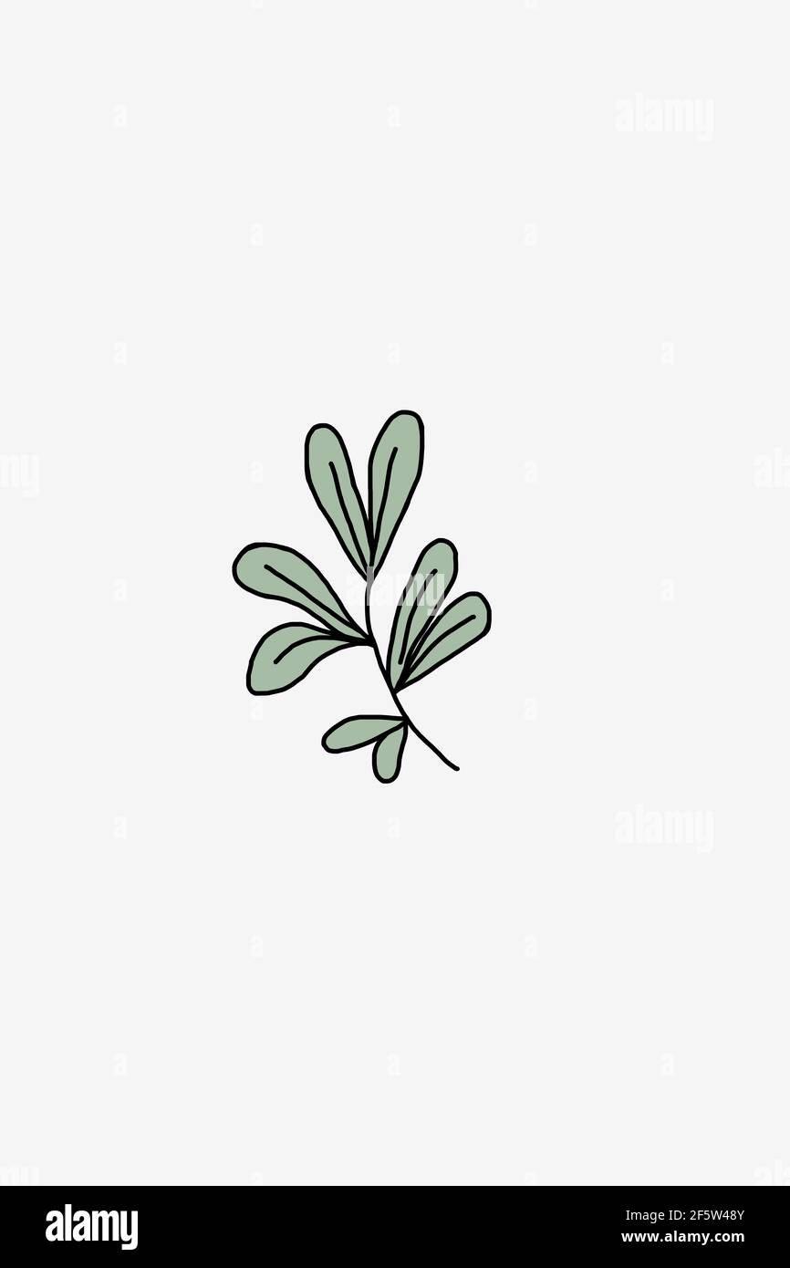 Minimalist Printable Botanical Illustration .Plants Illustration. Home ...