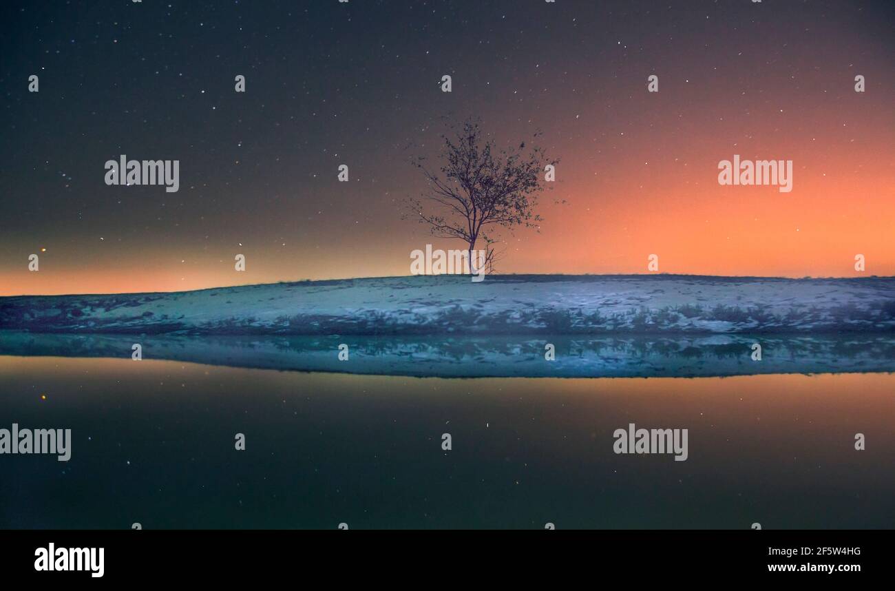 tree in sunset Stock Photo - Alamy