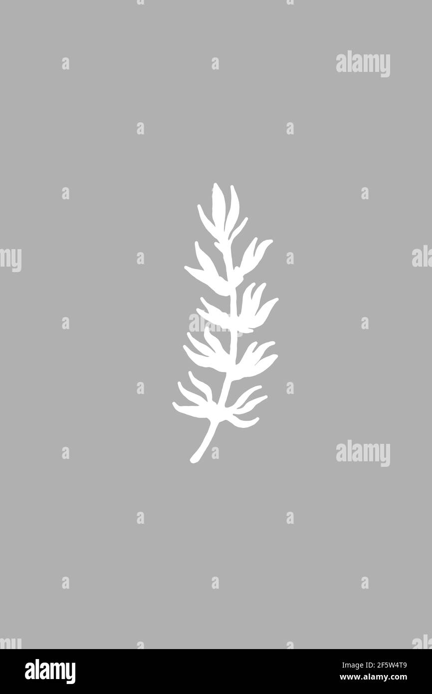 Set texture plants Black and White Stock Photos & Images - Alamy