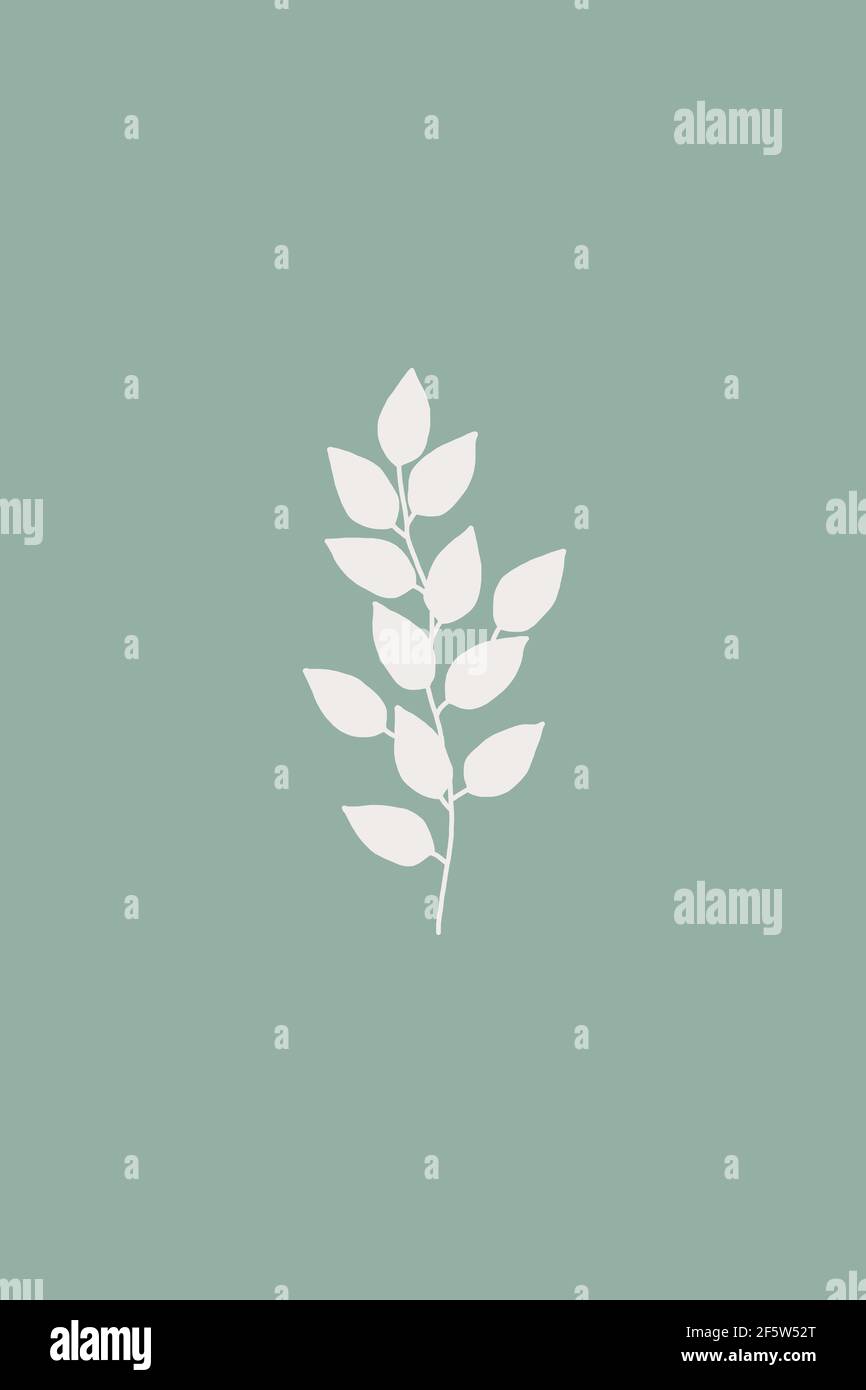 Minimalist Printable Botanical Illustration .Plants Illustration. Home ...