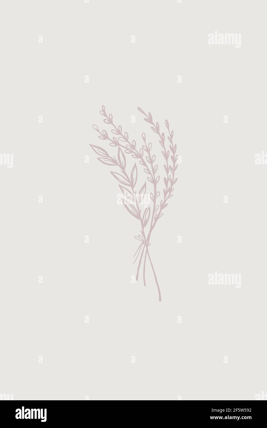 Minimalist Printable Botanical Illustration .Plants Illustration. Home ...