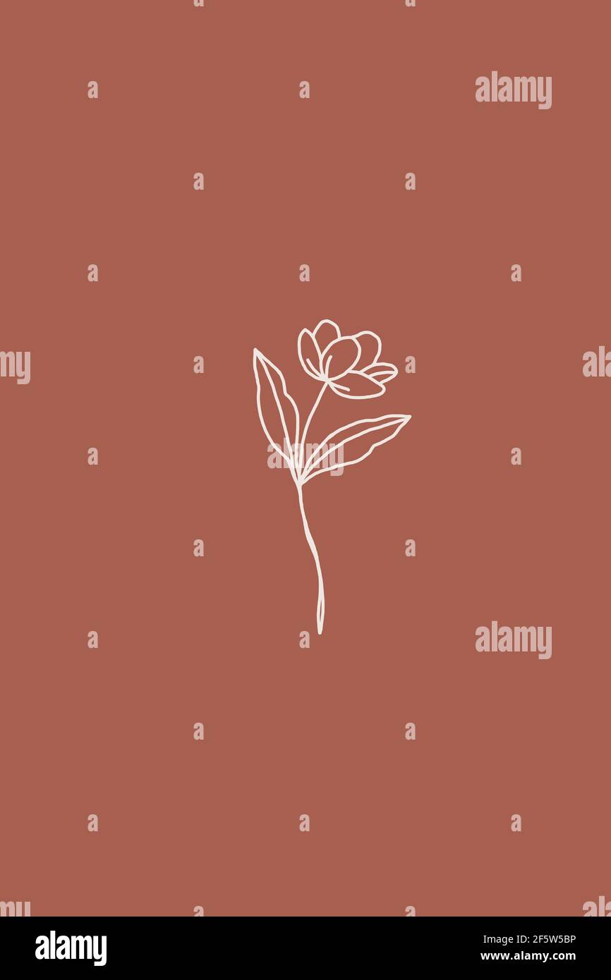 Minimalist Printable Botanical Illustration .Plants Illustration. Home ...