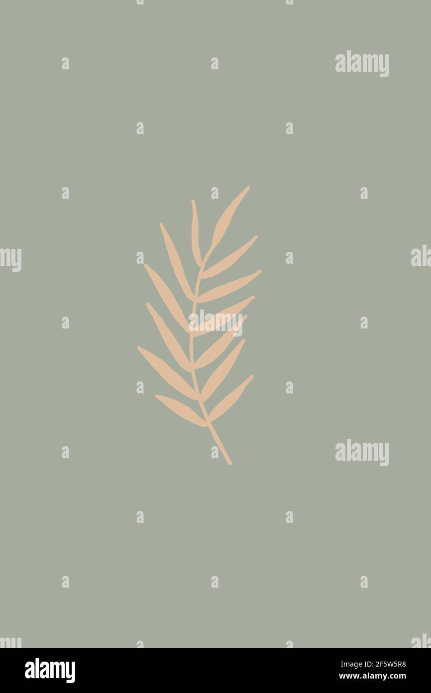 Minimalist Printable Botanical Illustration .Plants Illustration. Home ...