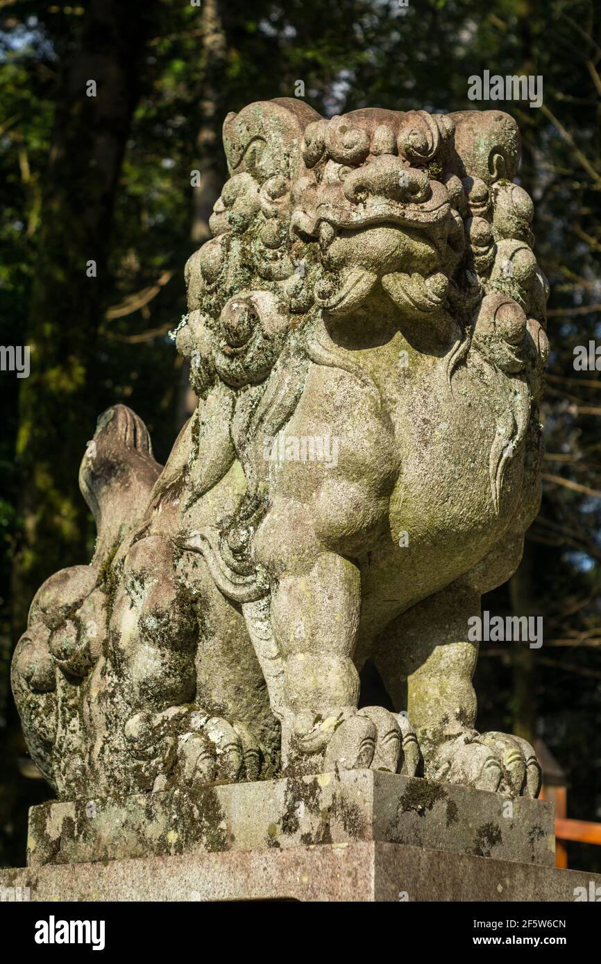 A komainu lion-dog statue guarding the entrance to Kasuga Taisha Grand ...