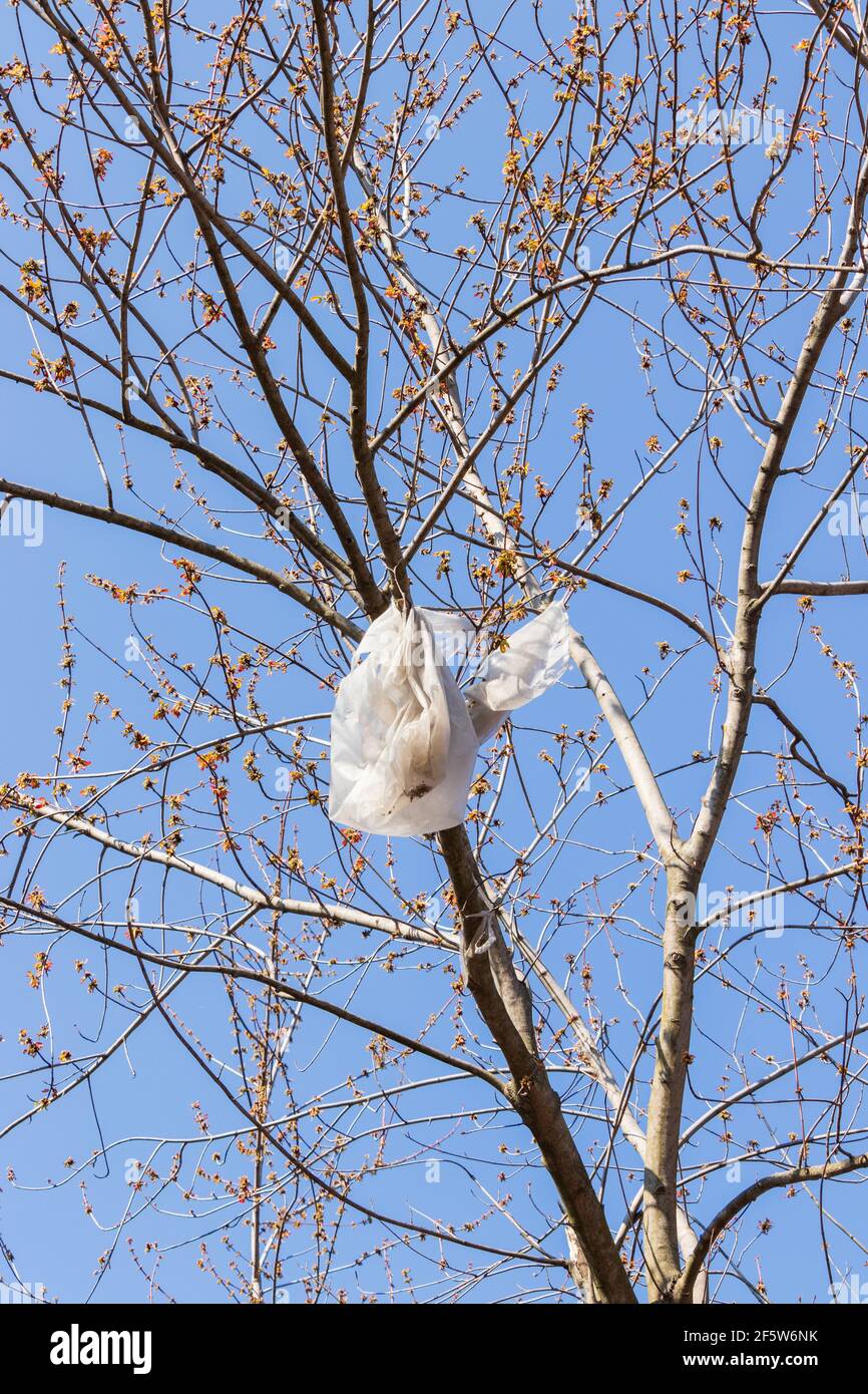 Plastic bag tree sky hi-res stock photography and images - Alamy
