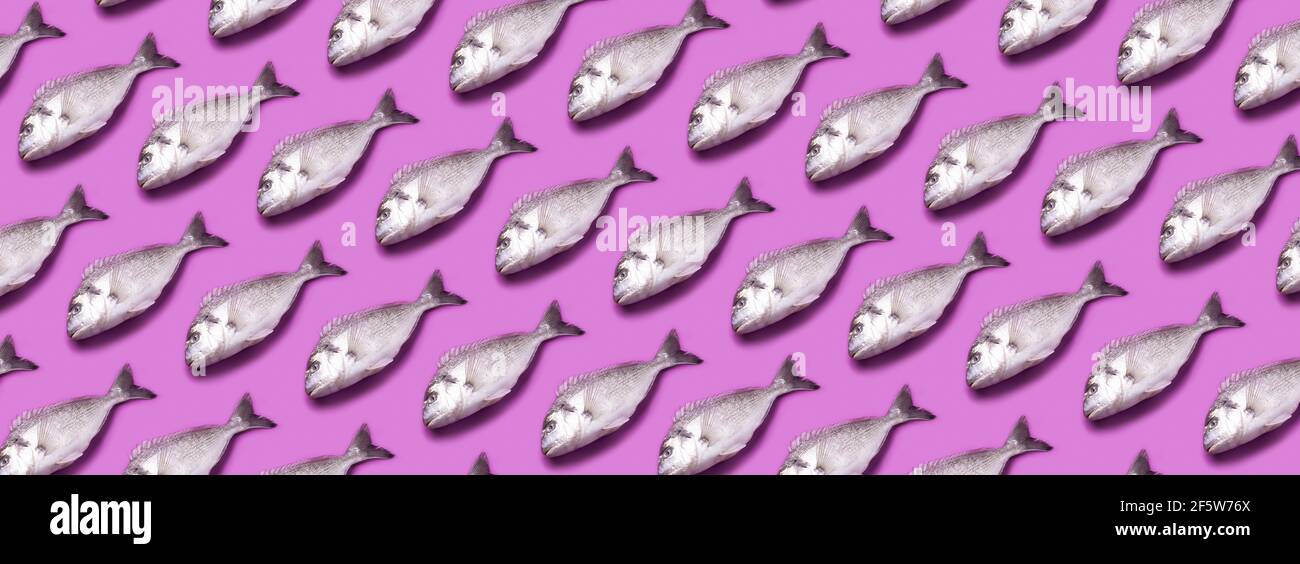 raw dorado pattern over violet background, panoramic image Stock Photo ...