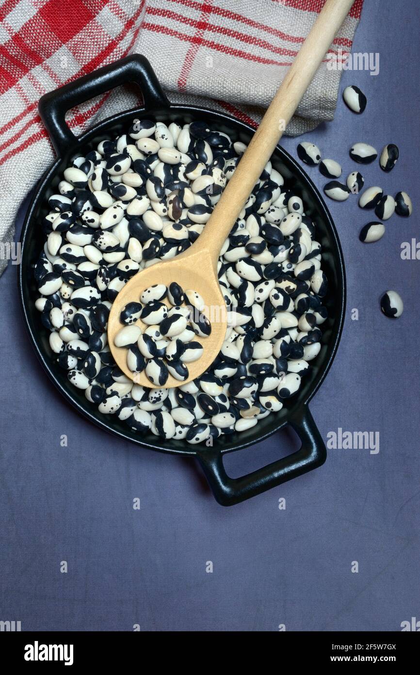 Dried bush beans in pot with cooking spoon, Yin Yang beans, Germany ...