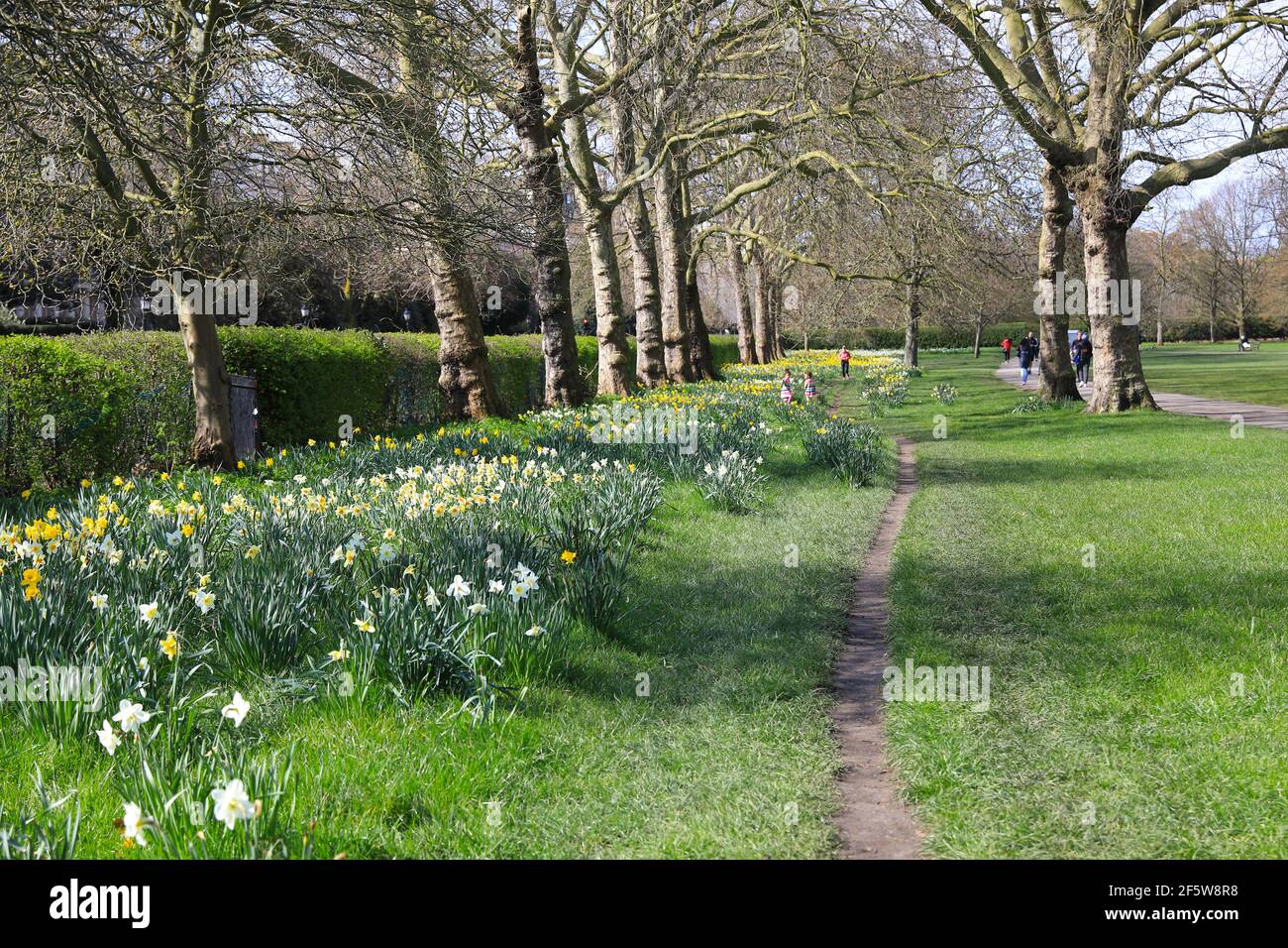 Early spring sunshine in Regents Park, north London, UK Stock Photo - Alamy