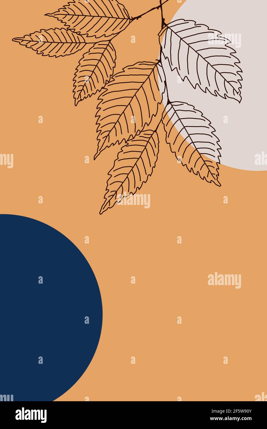 Minimalist Printable Botanical Illustration .Plants Illustration. Home ...