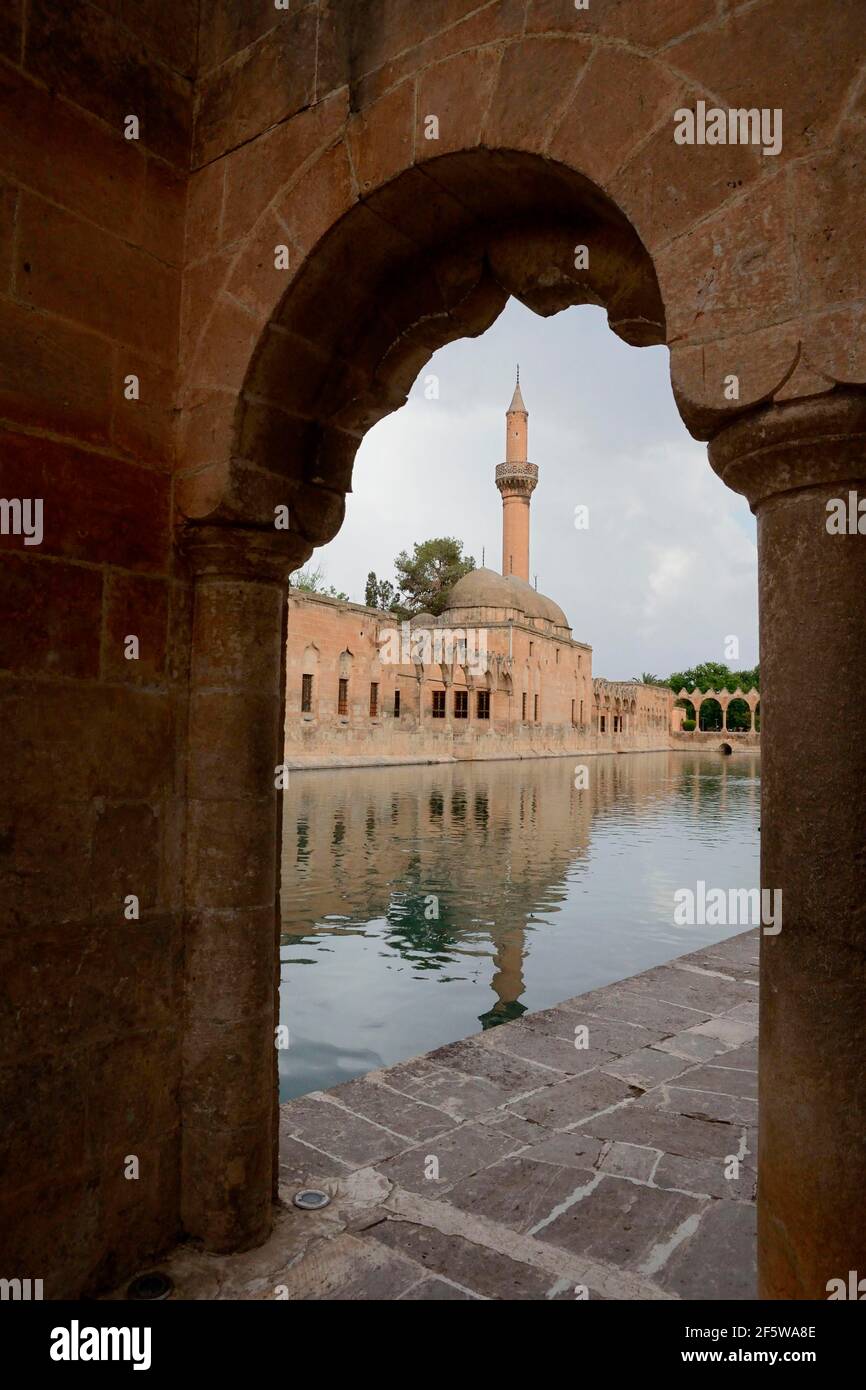 Carp Pond, Pond of Abraham with holy, Halil-Rahman Mosque, Sanliurfa ...