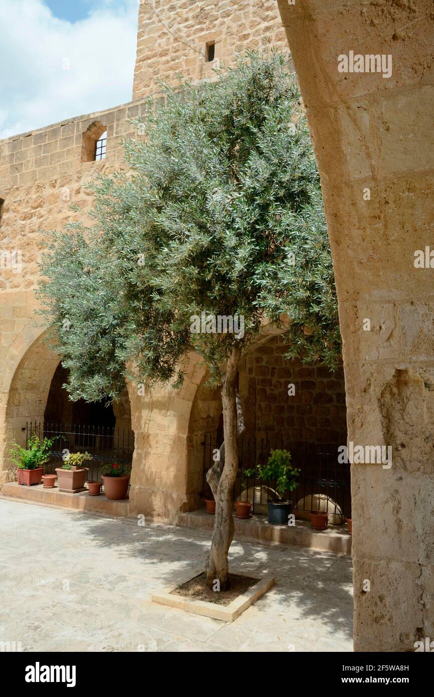 Monastery mardin turkey hi-res stock photography and images - Alamy