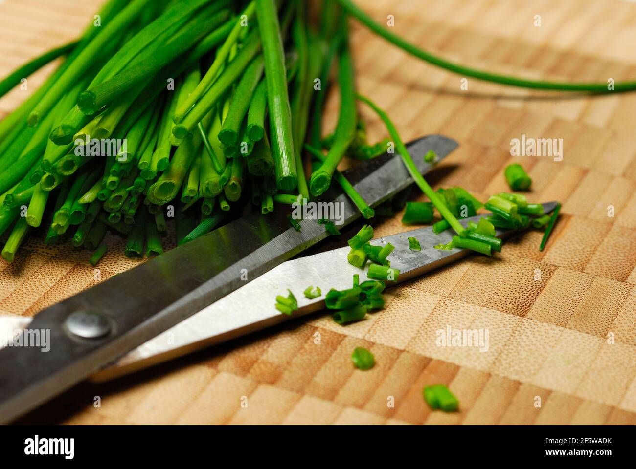Chive cut into rolls with kitchen scissors (Allium schoenoprasum Stock ...