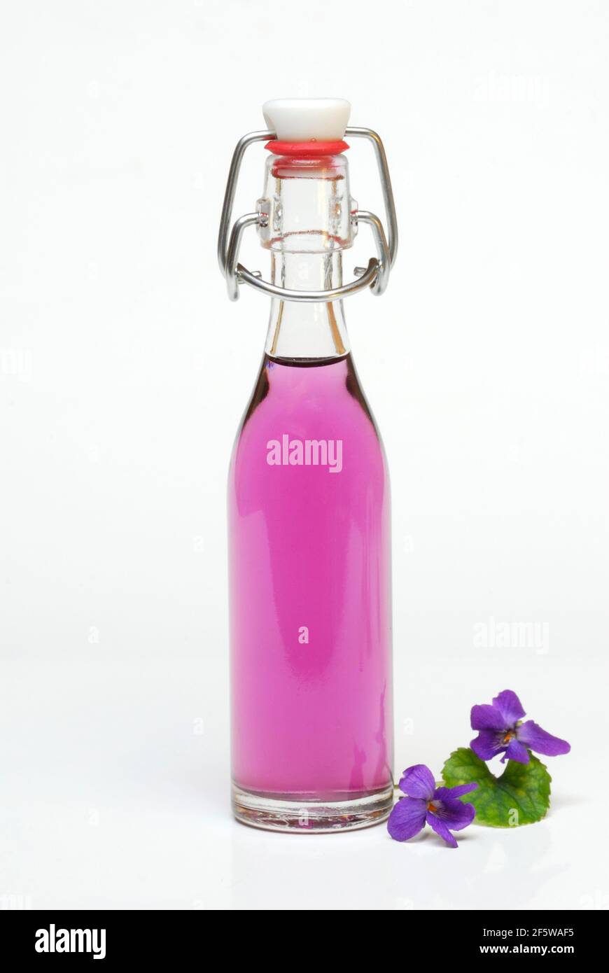 Violet syrup in bottle and violet flowers, violet taste, syrup Stock ...