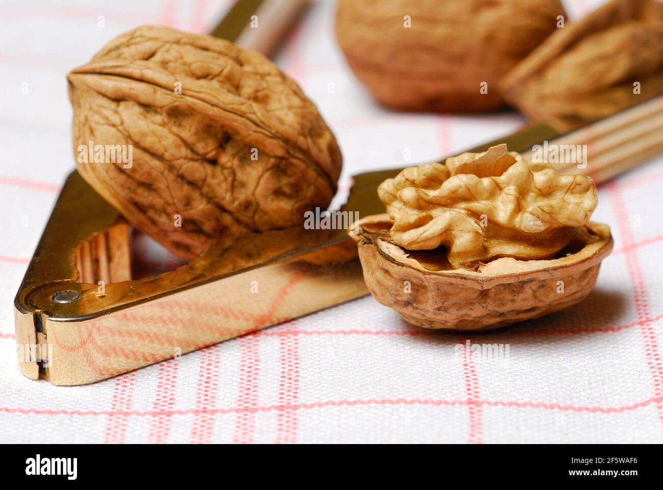 Walnut (Juglans regia) in nutcracker Stock Photo - Alamy