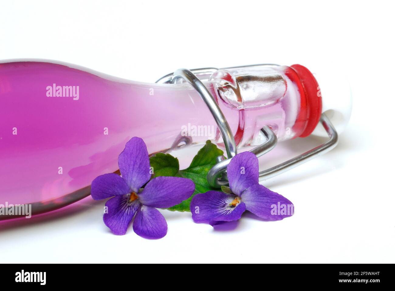 Violet syrup in bottle and violet flowers, violet taste, syrup Stock ...