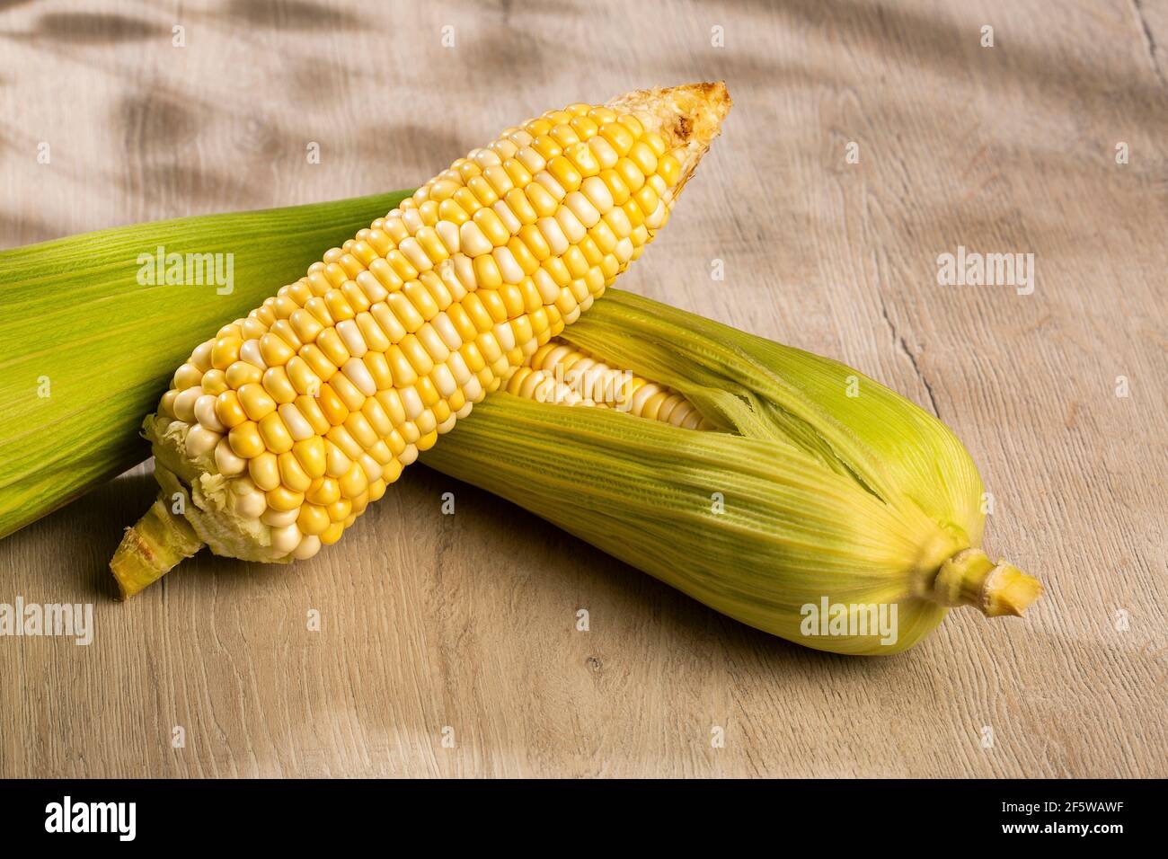 Grown ear hi-res stock photography and images - Alamy