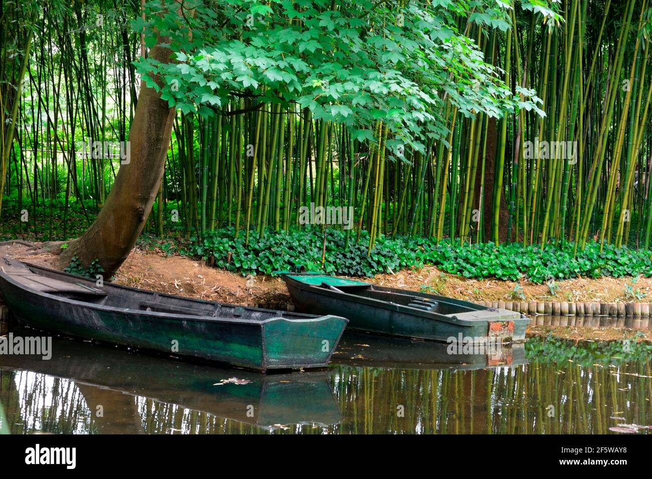 Monet garden, Monet garden, water lily pond, water lily garden, painter ...