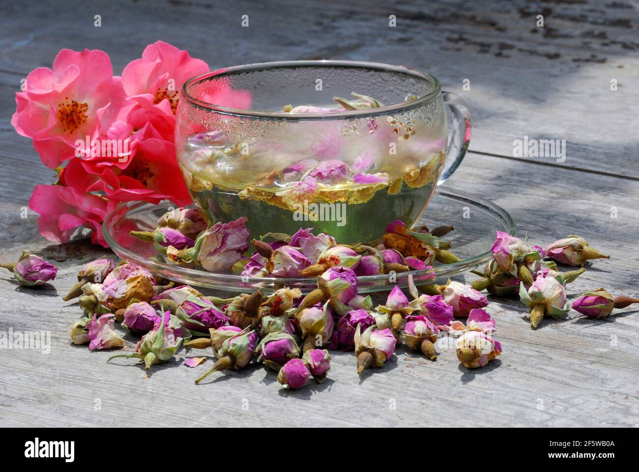 Rose tea in cup and rose buds, rose petals, rose blossom tea Stock ...