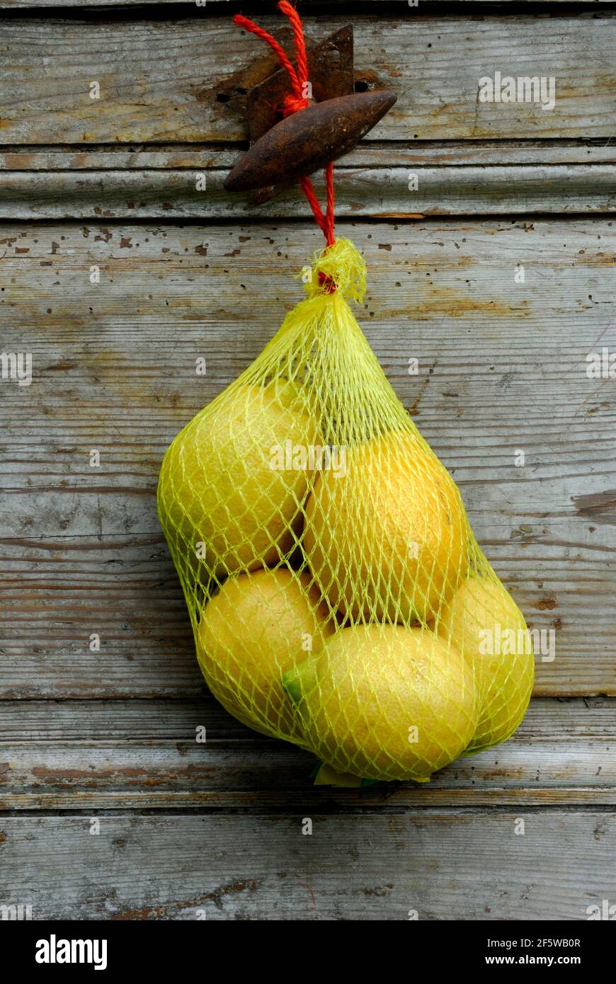 Citrus fruit and net hi-res stock photography and images - Alamy