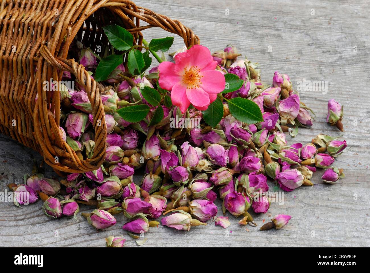 Dried rosebuds in baskets, flower tea, tea, rose tea Stock Photo - Alamy