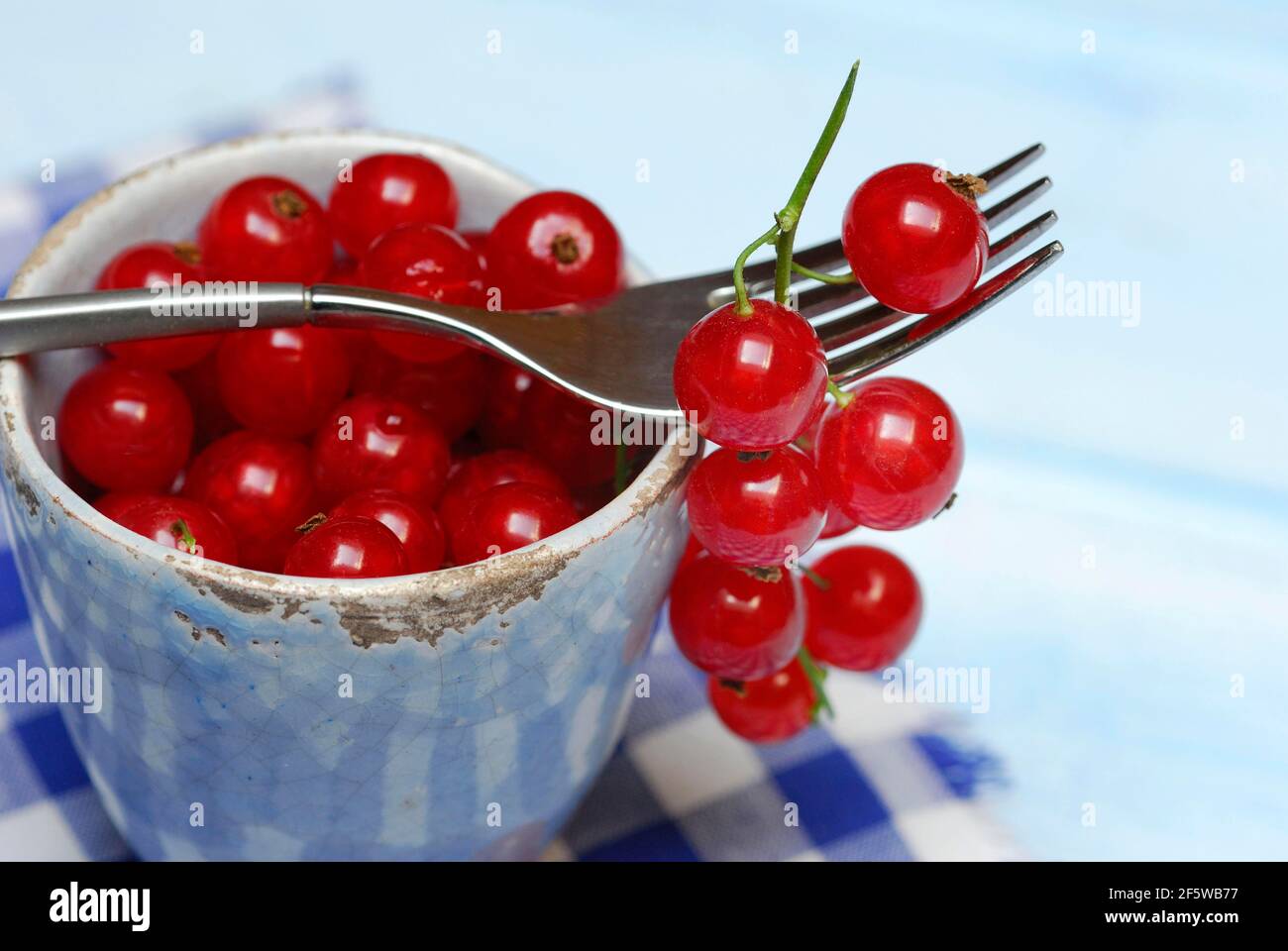 Ribes rubrum fork hi-res stock photography and images - Alamy