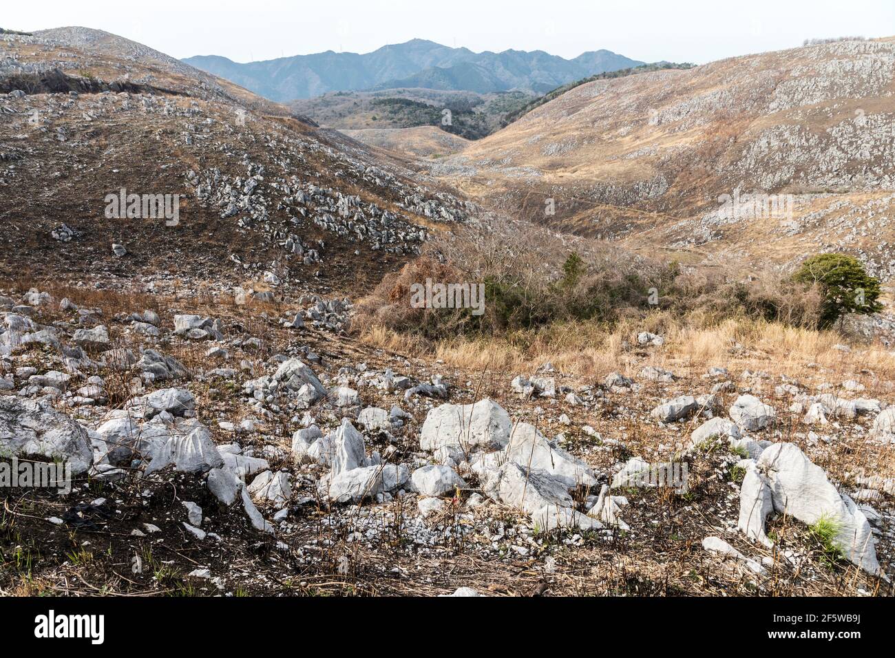Akiyoshidai karst plateau after annual burning, Yamaguchi, Japan Stock ...
